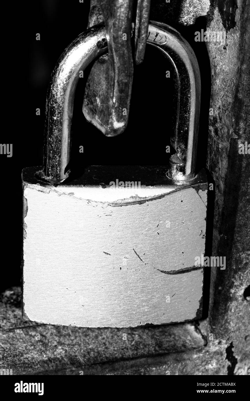 High contrast Black and white macro photography texture backgrounds ...