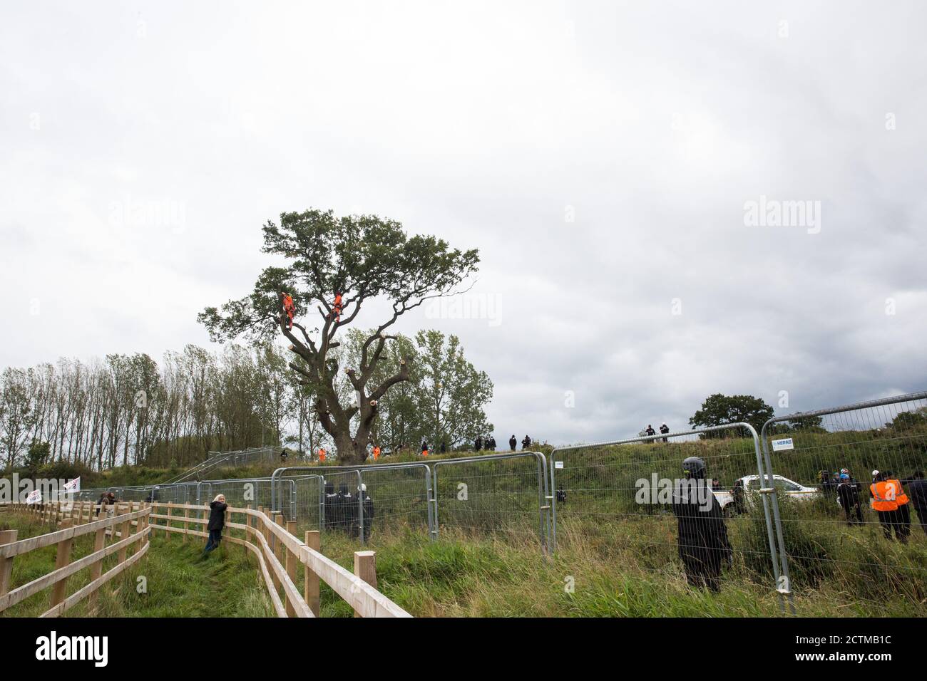 The seven sisters oak hi-res stock photography and images - Alamy