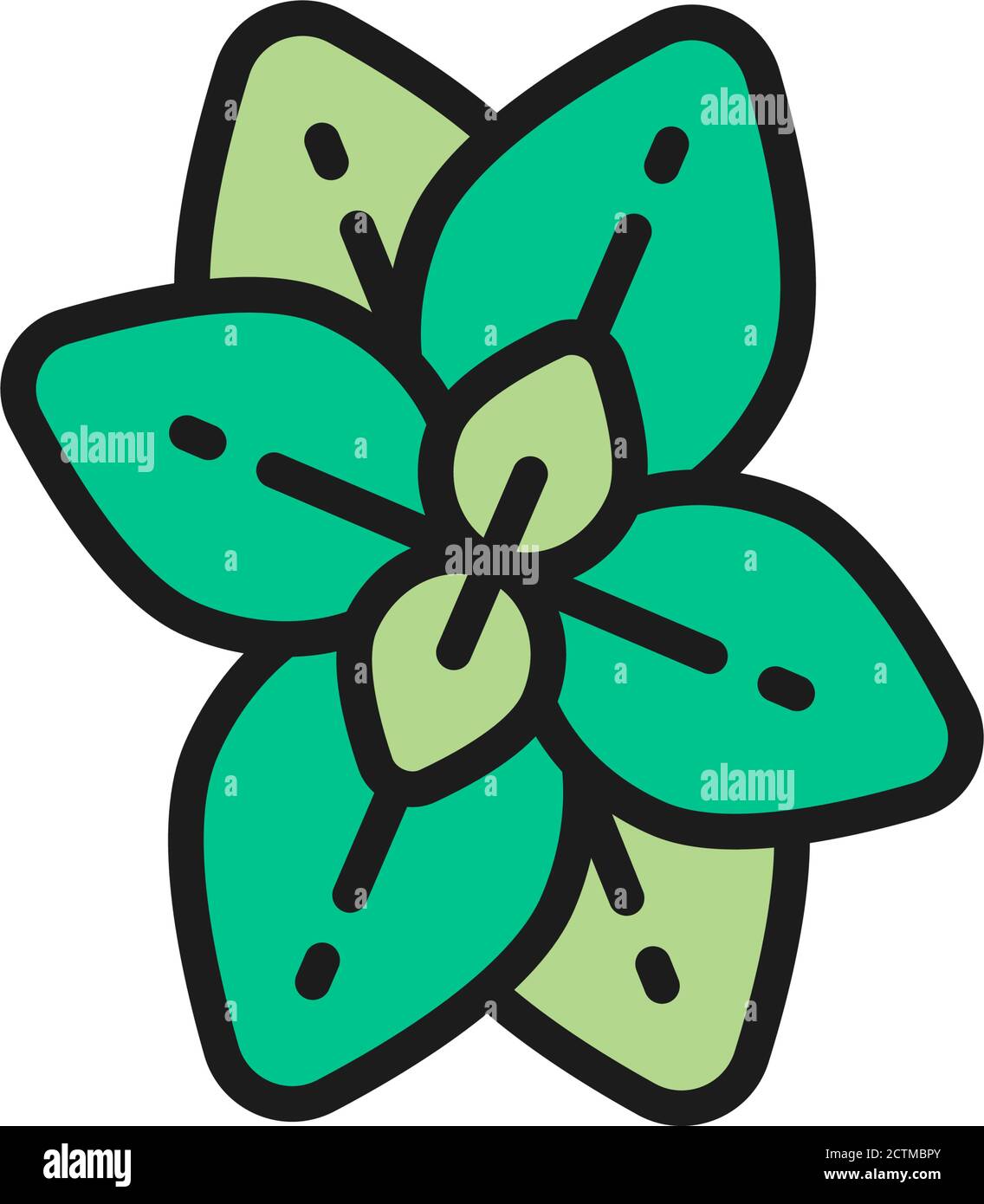 Oregano, mint, basil flat color line icon. Isolated on white background ...