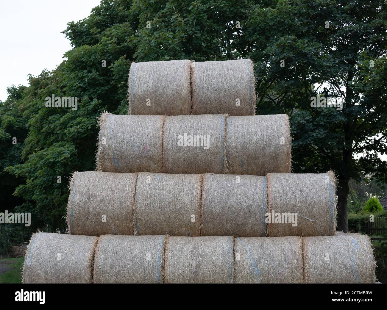 Bale netting hi-res stock photography and images - Alamy