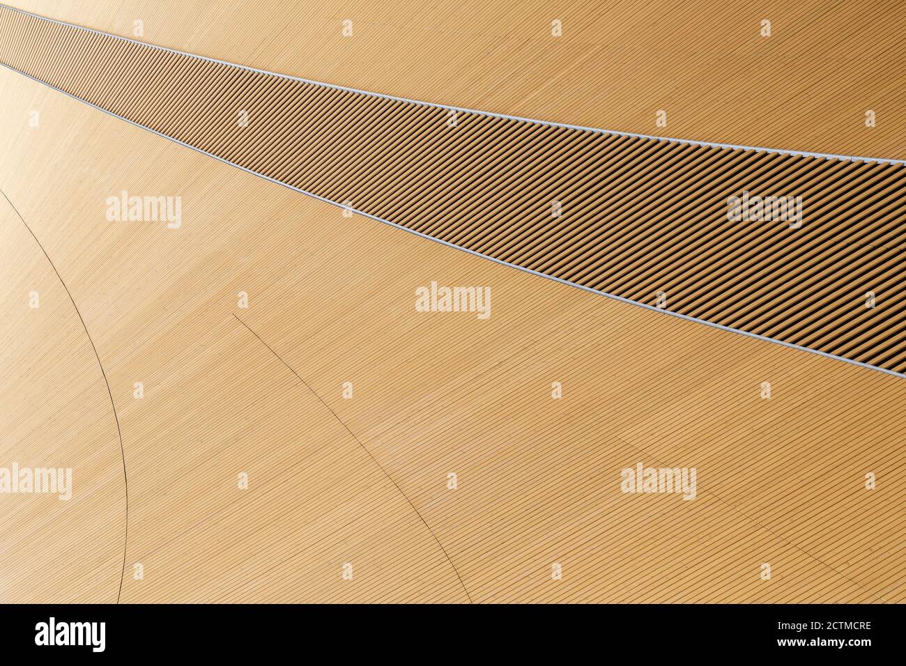 Abstract and modern ceiling made of spruce tree's wood boards, viewed ...