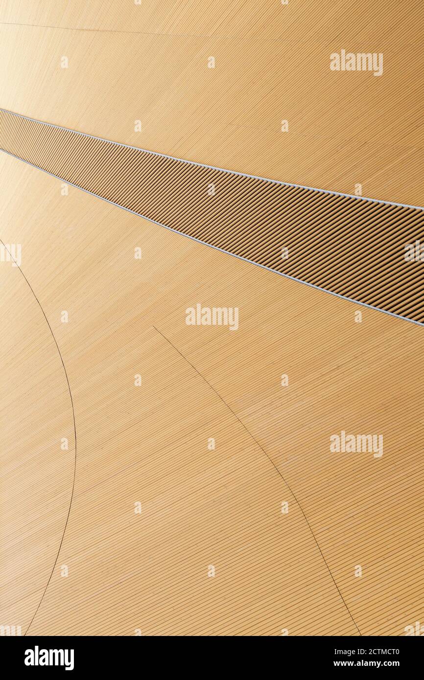 Abstract and modern ceiling made of spruce tree's wood boards, viewed ...