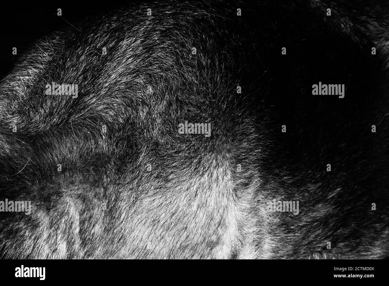 High contrast Black and white macro photography texture backgrounds ...