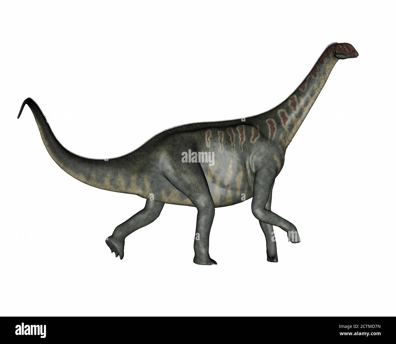 Jobaria dinosaur - 3D render Stock Photo - Alamy