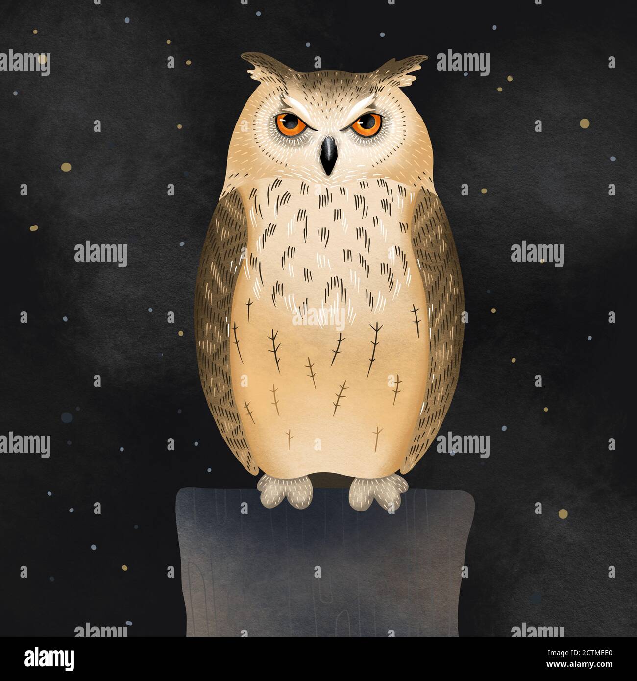 Illustration of a cute owl. Multi-colored owl on a dark background ...
