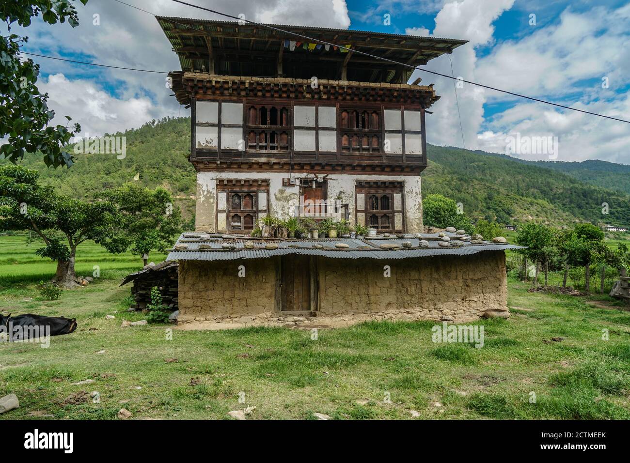 Traditional Bhutanese farmhouse in Punakha, Bhutan Stock Photo - Alamy