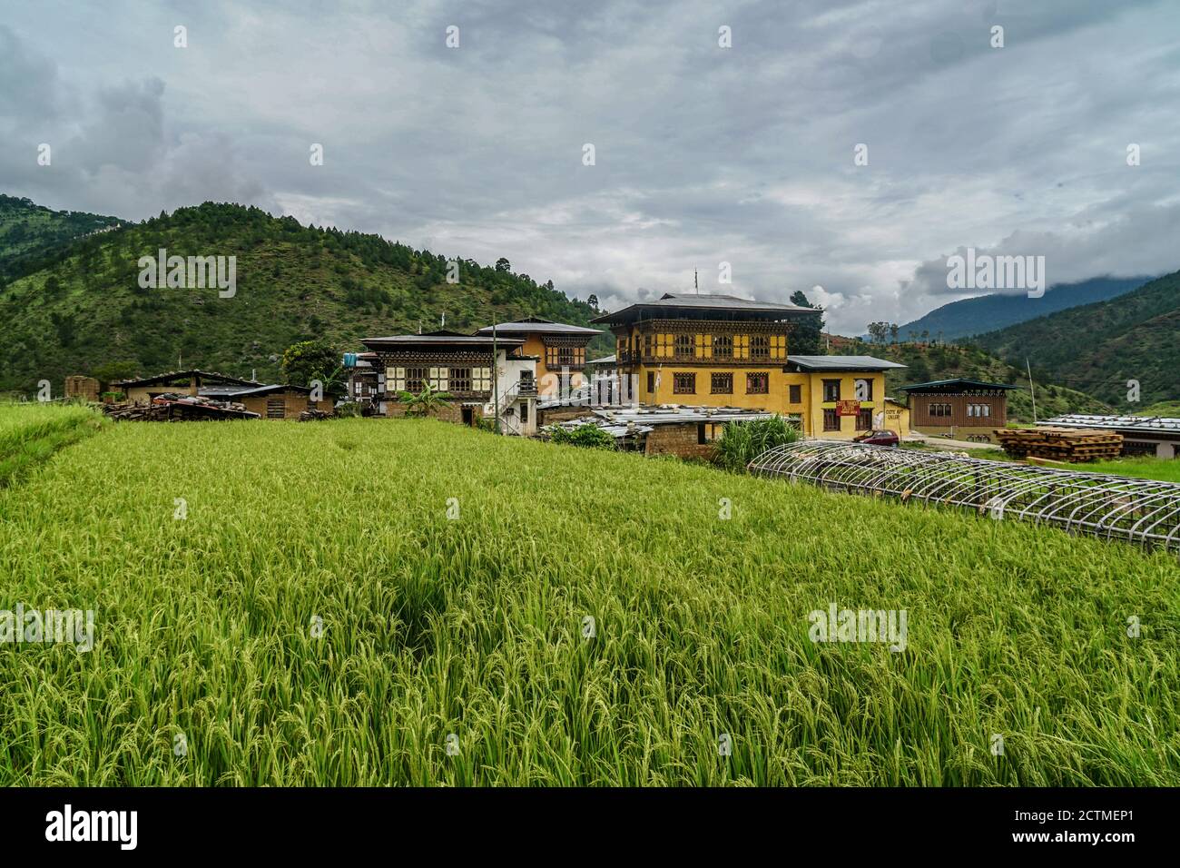 Traditional village and rice field landscape in Punakha, Bhutan Stock ...