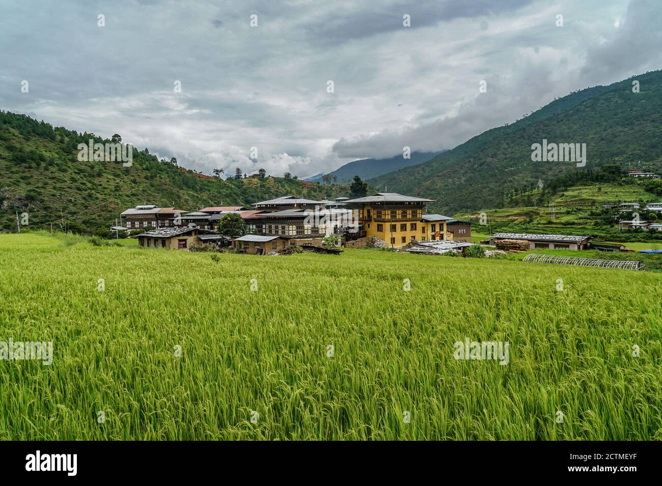 Traditional village and rice field landscape in Punakha, Bhutan Stock ...
