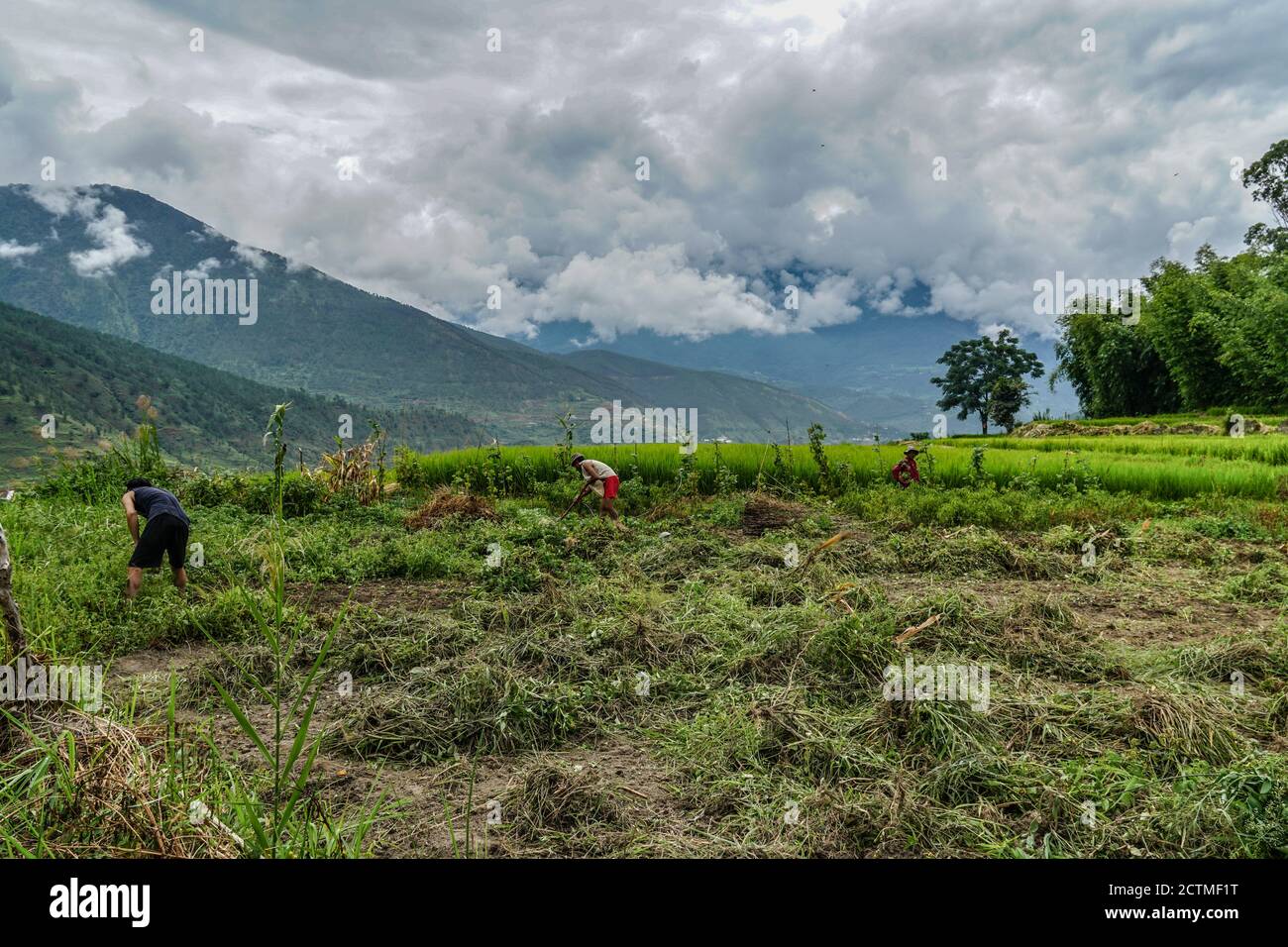 Farmers field working village hi-res stock photography and images - Alamy