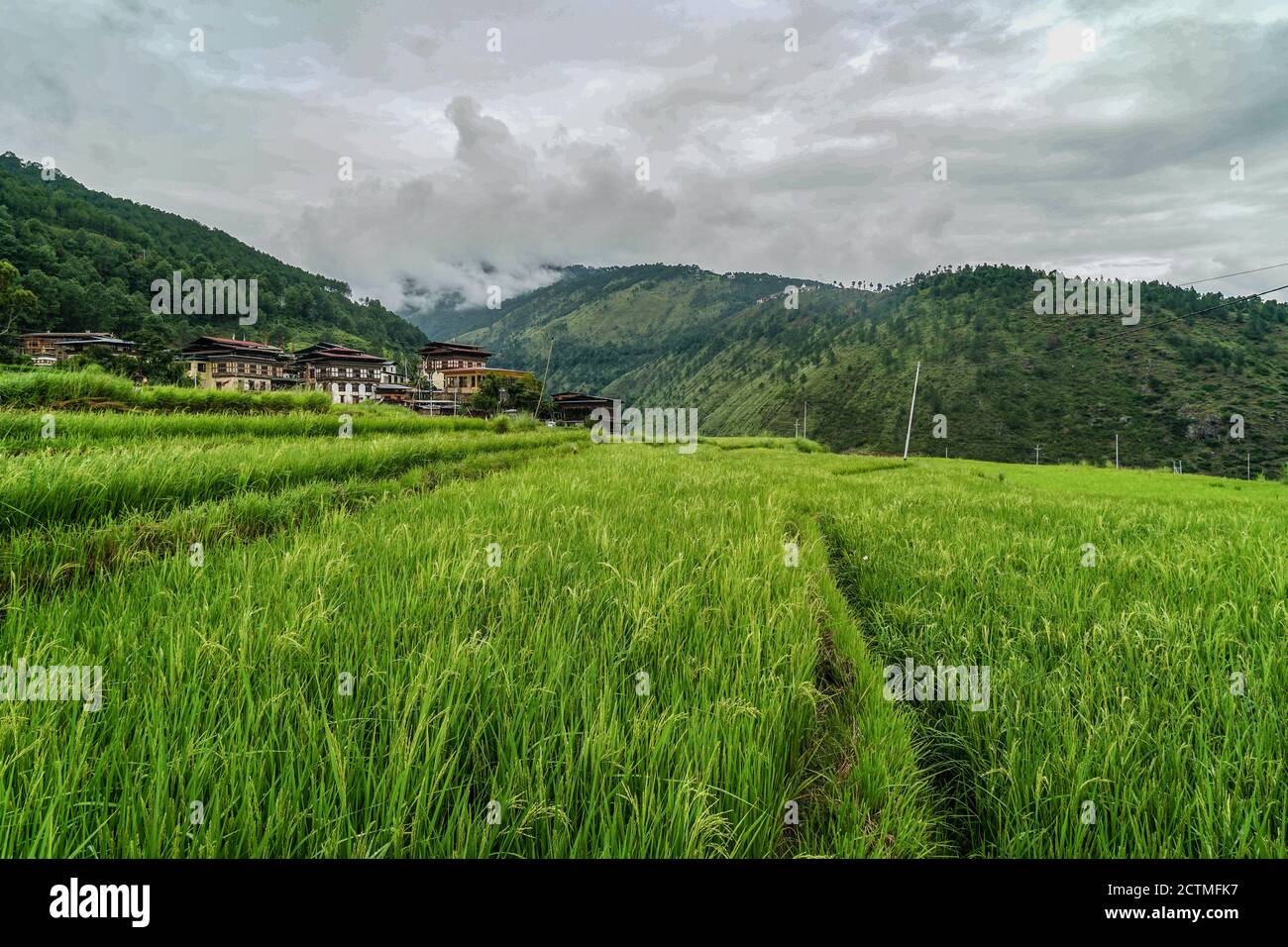 Traditional village and rice field landscape in Punakha, Bhutan Stock ...