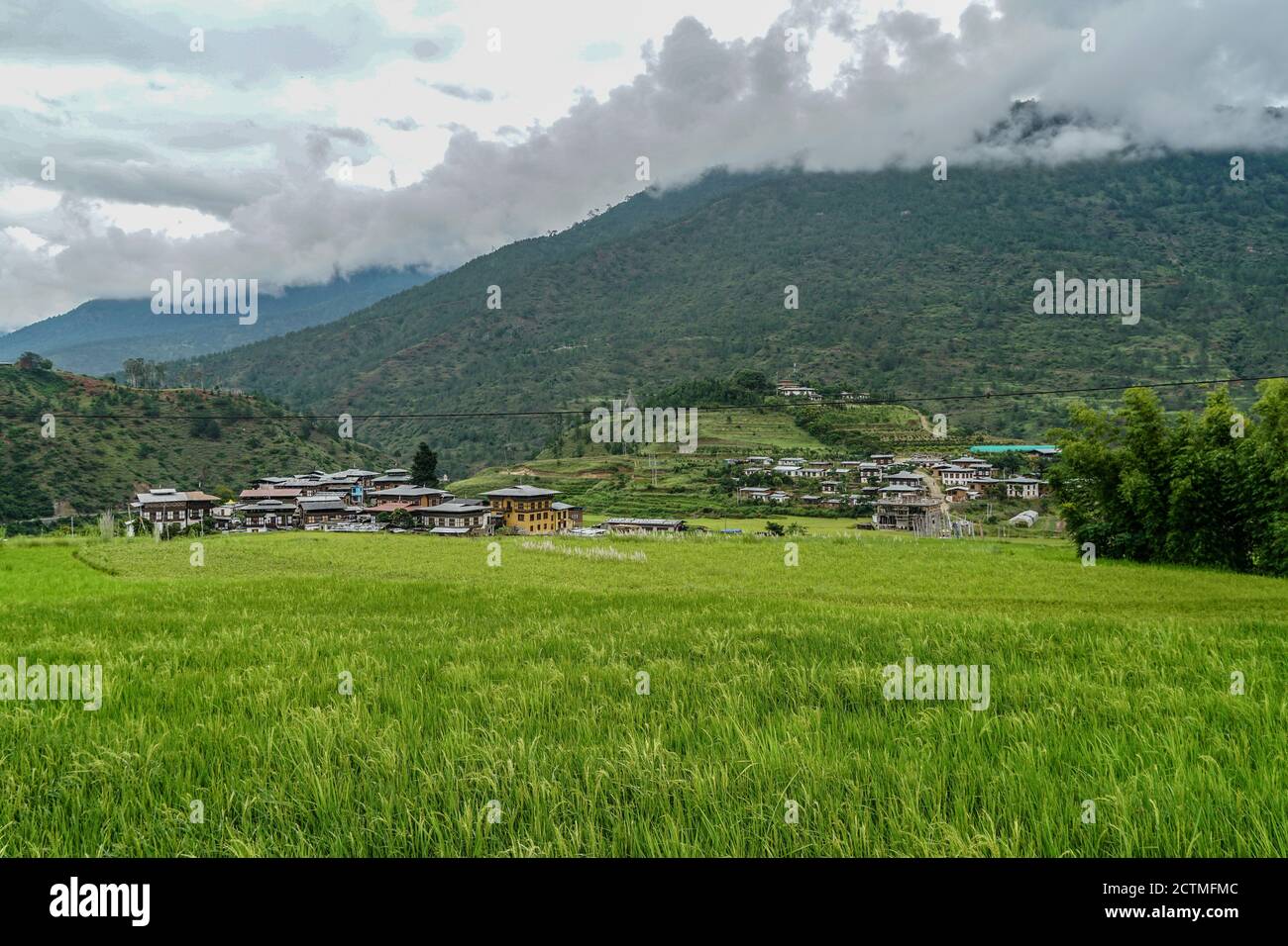 Traditional village and rice field landscape near Chimi Lhakhang in ...