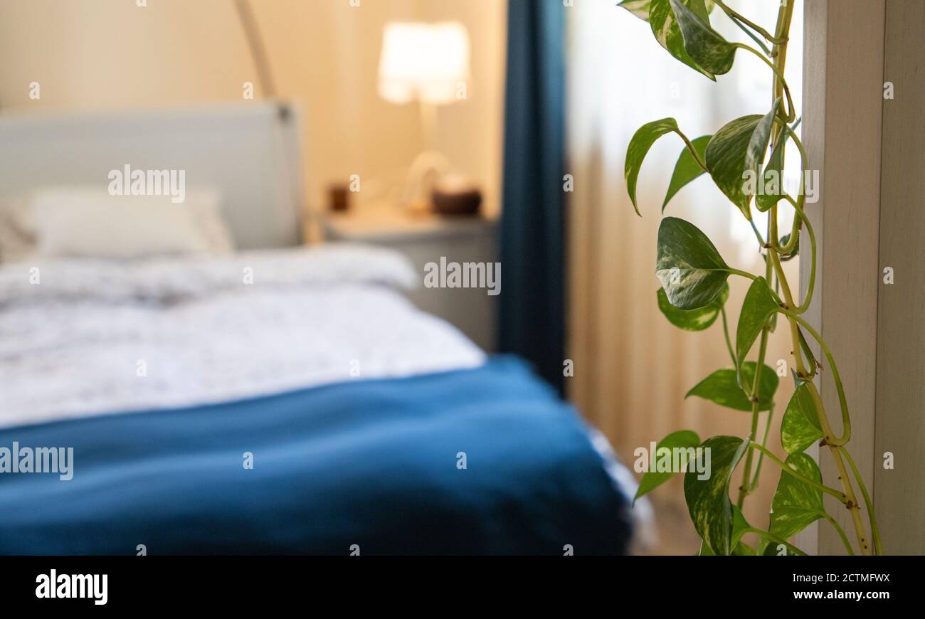 bedroom interior and empty desk space Stock Photo - Alamy