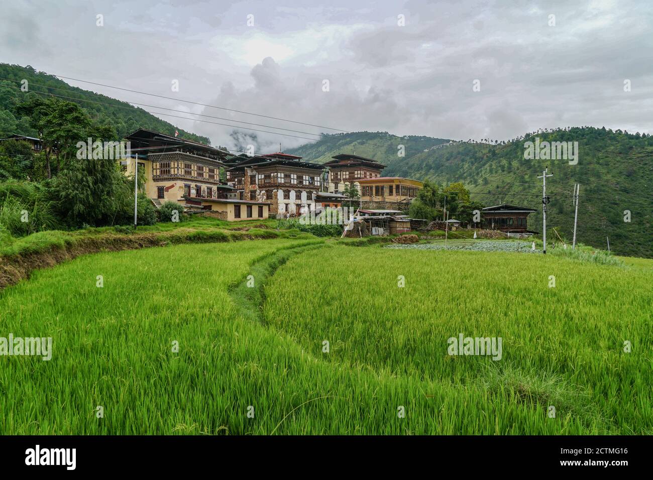 Traditional village and rice field landscape in Punakha, Bhutan Stock ...