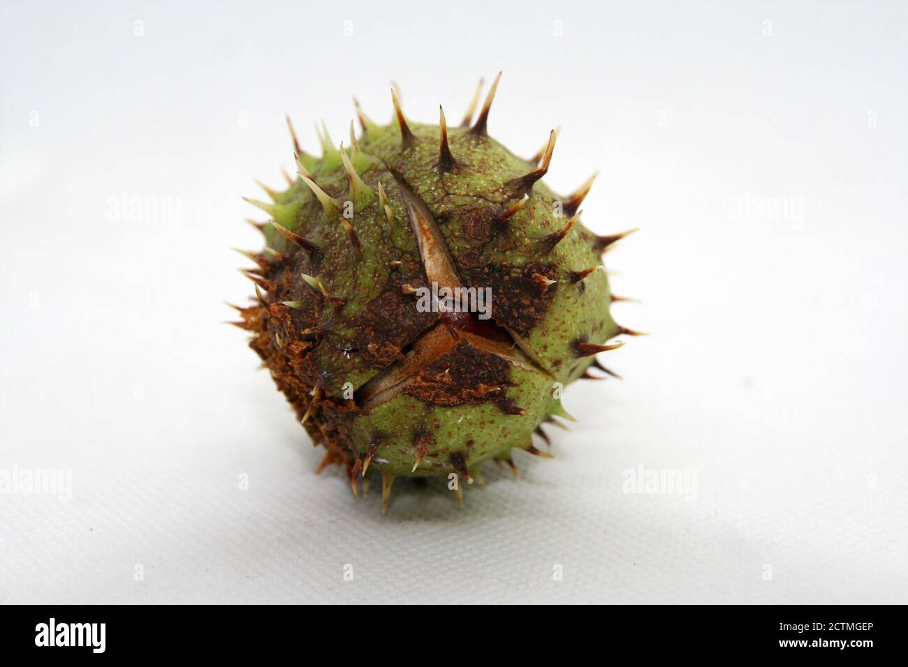 Spiky fruit set hi-res stock photography and images - Alamy