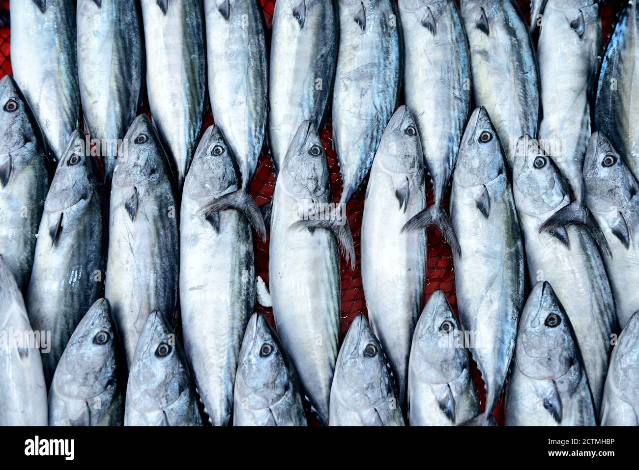 Fresh Whole Turkey High Resolution Stock Photography and Images - Alamy