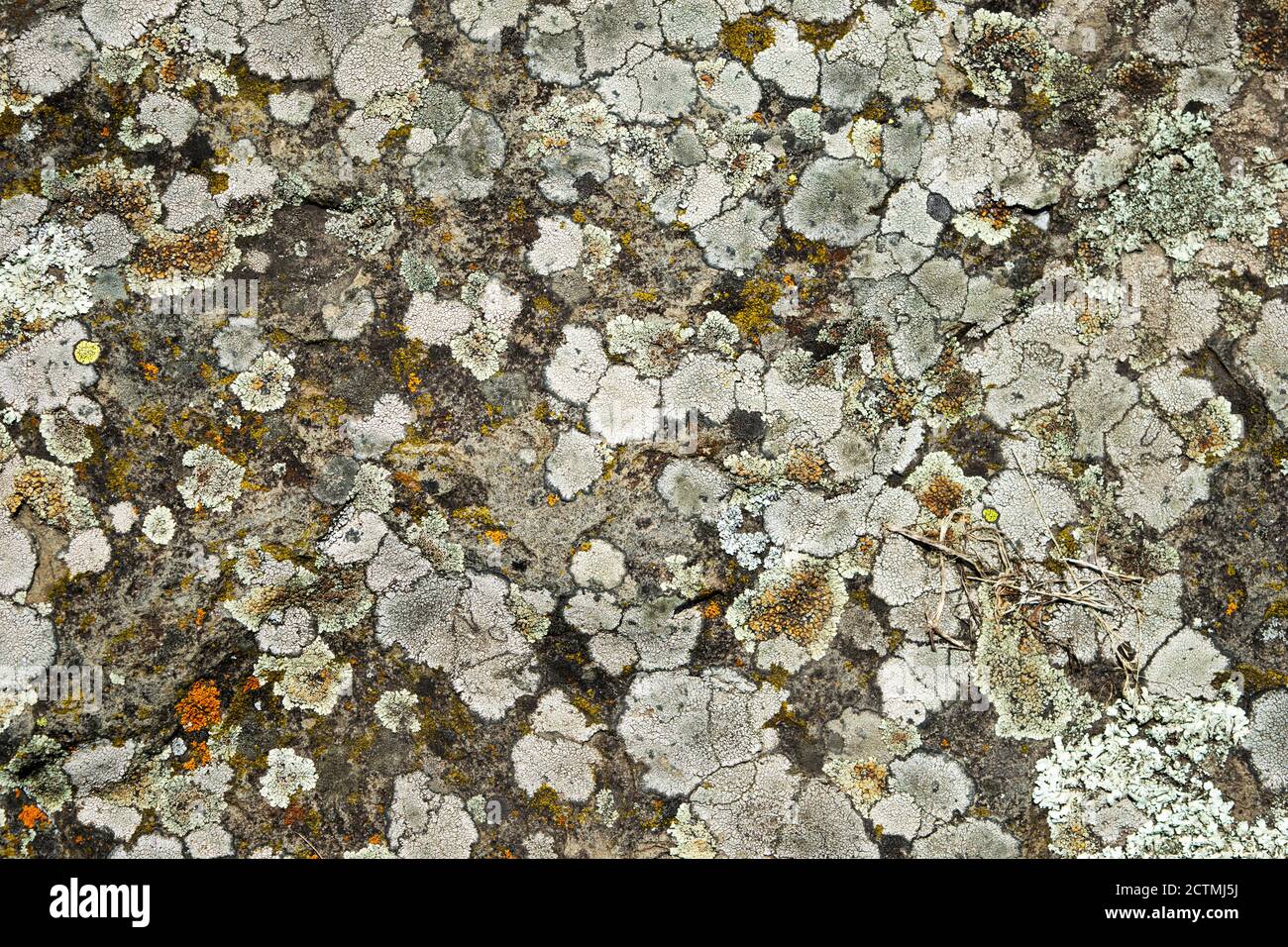 surface of old slate stone for background, texture Stock Photo - Alamy