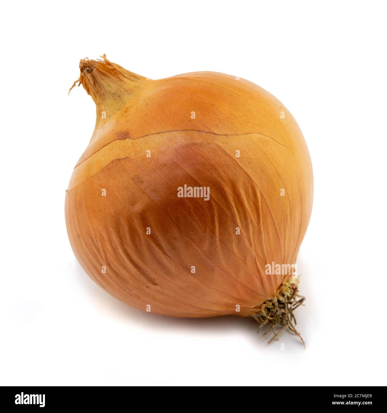 one onion bulb isolated on a white background Stock Photo - Alamy