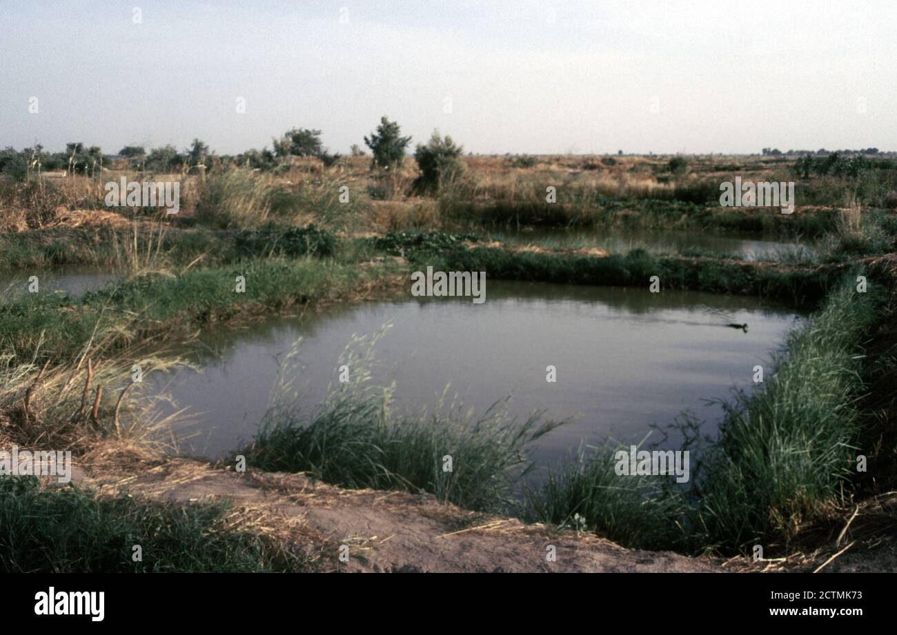 Pond for fish culture (Tilapias), Chad Stock Photo - Alamy