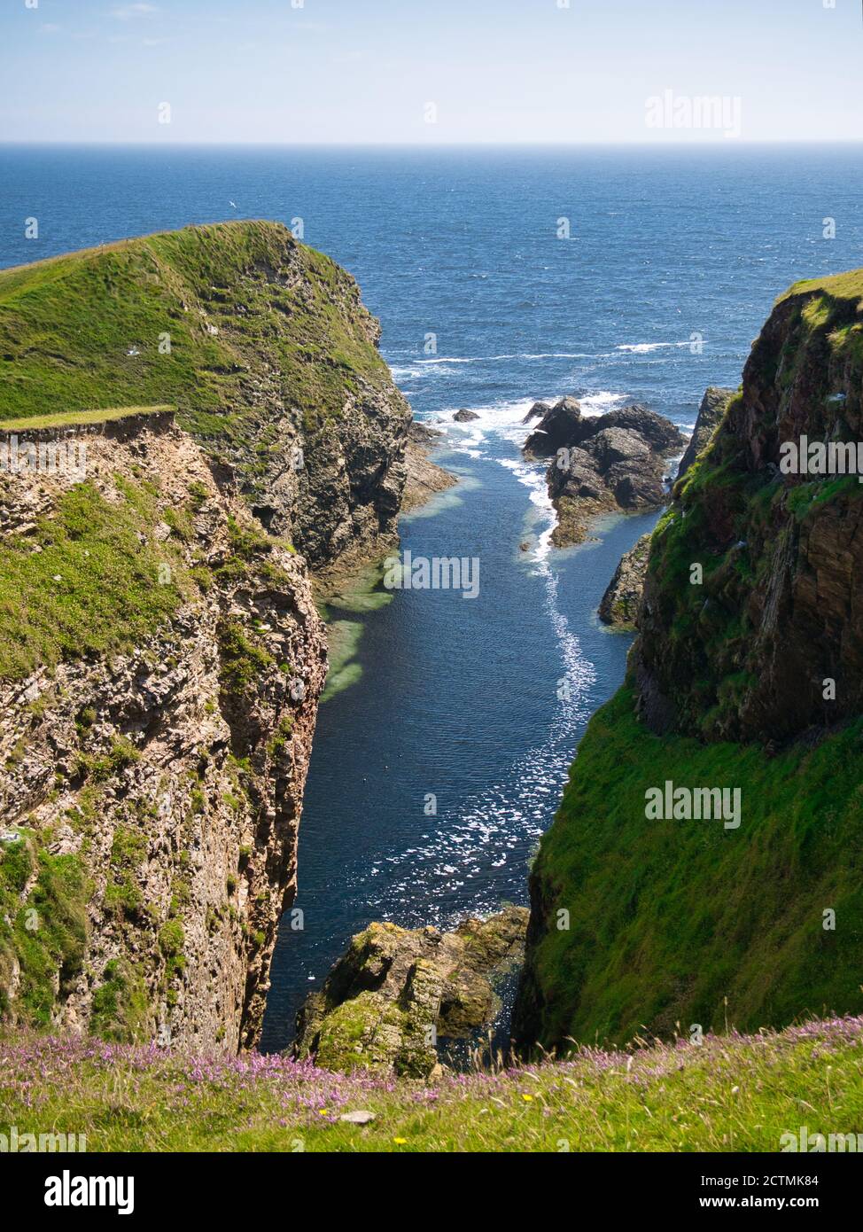 Hawks geo hi-res stock photography and images - Alamy