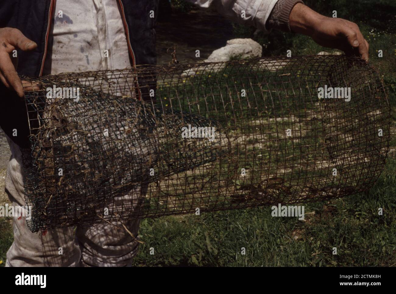 Freshwater crayfish pot Stock Photo - Alamy