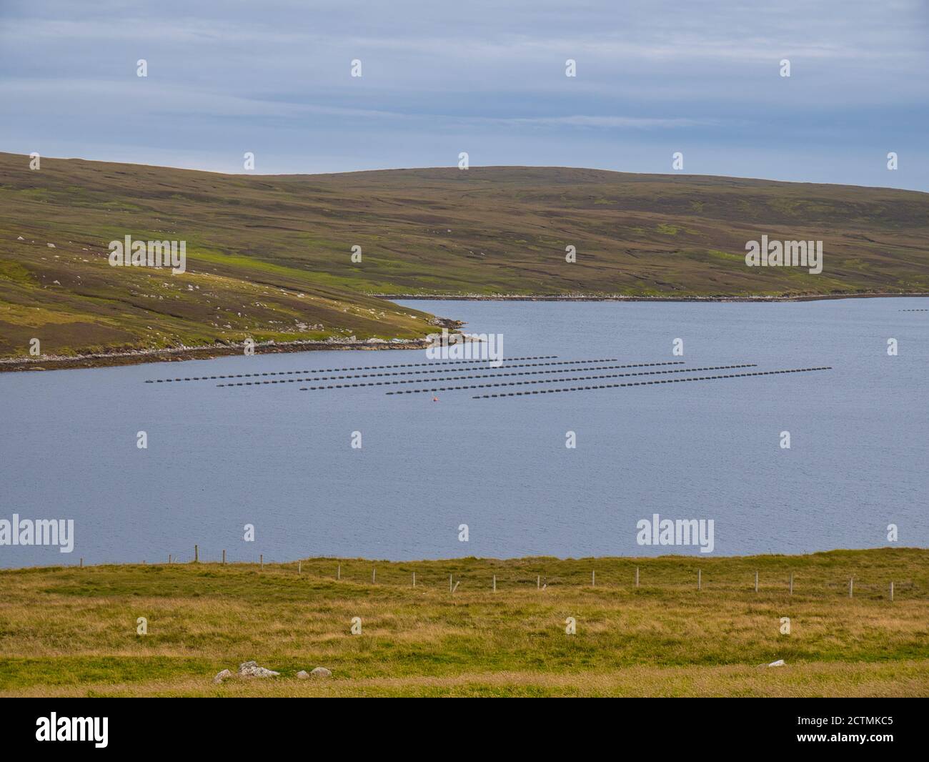 Aquaculture farm hi-res stock photography and images - Alamy
