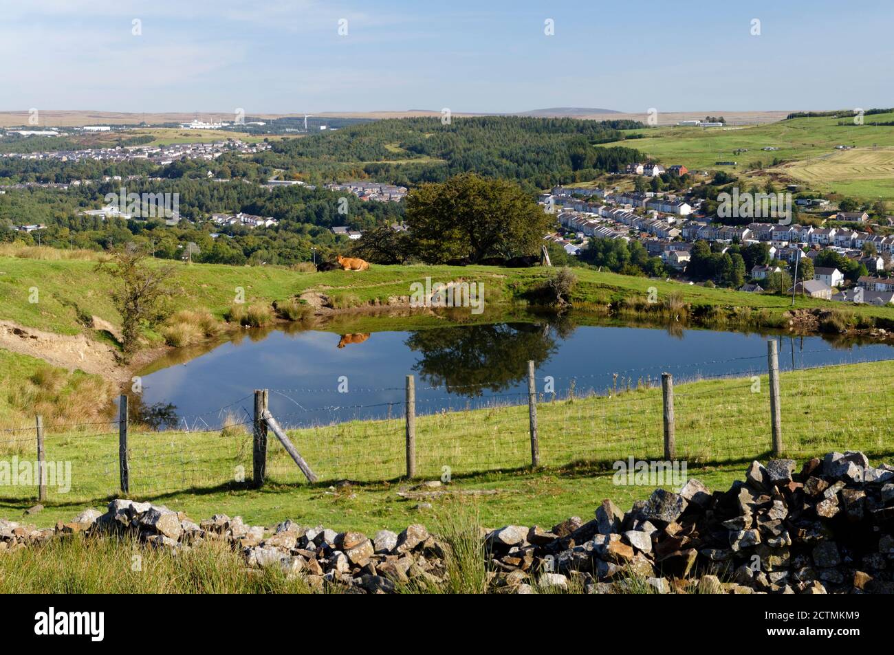 Cefn golau pond hi-res stock photography and images - Alamy