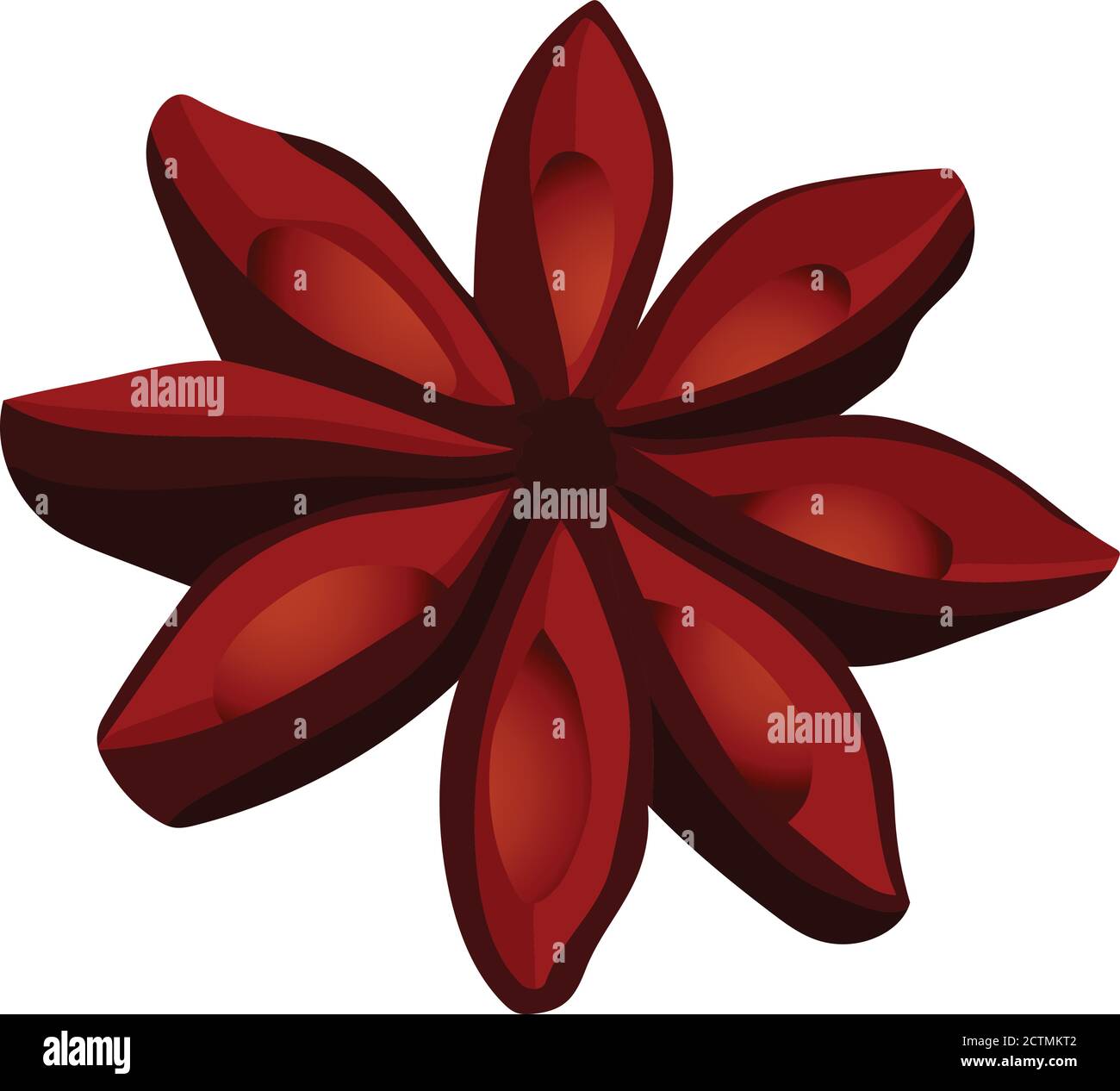 vector illustration of star anise Stock Vector Image & Art - Alamy