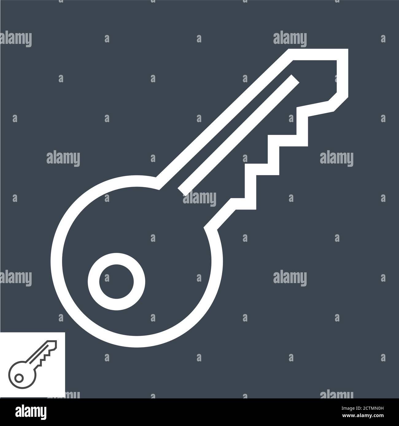 Access key linear icon Stock Vector Images - Alamy