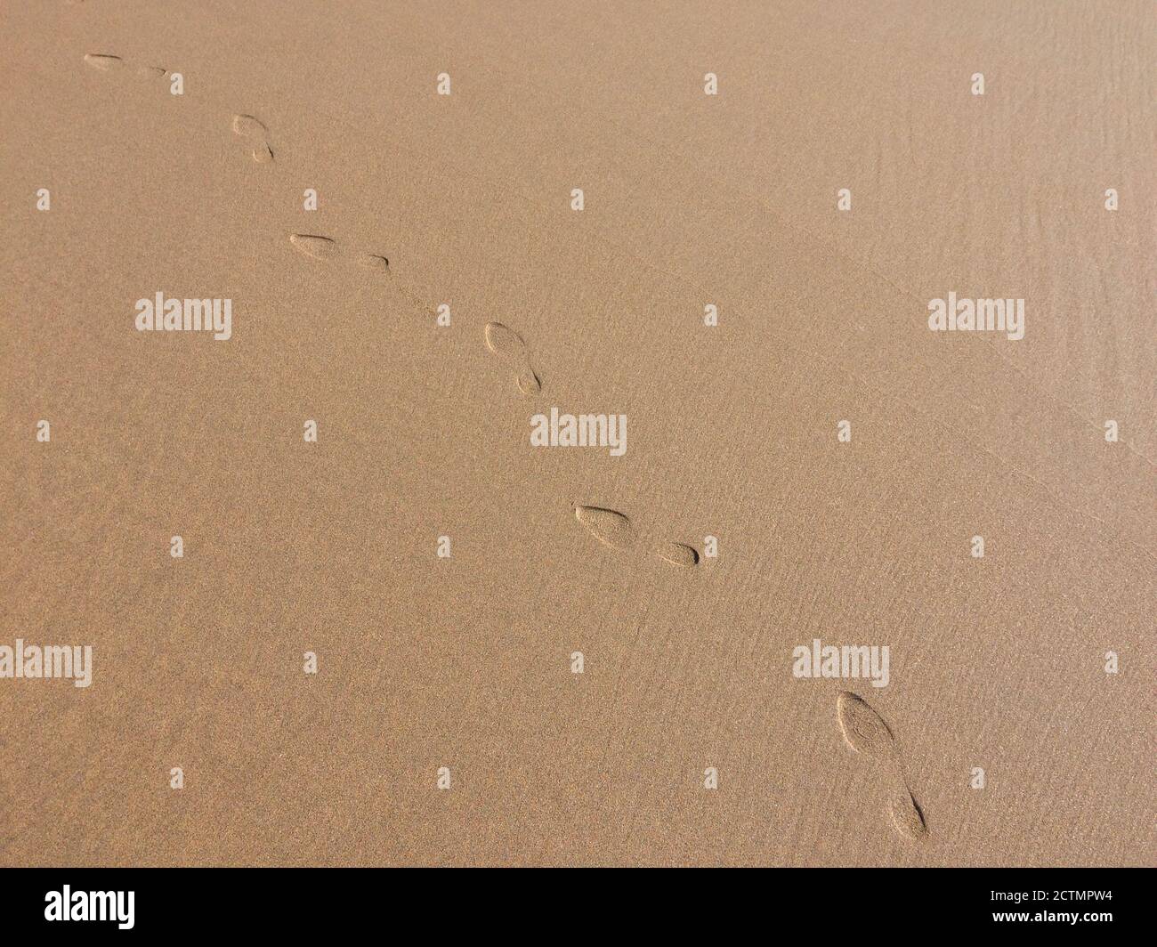 footprints in the sand, small female footprints Stock Photo - Alamy