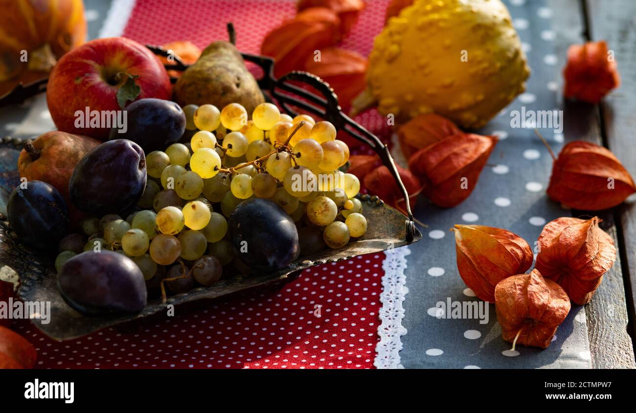 fresh autumn fruits and vegetables thanksgiving Stock Photo - Alamy