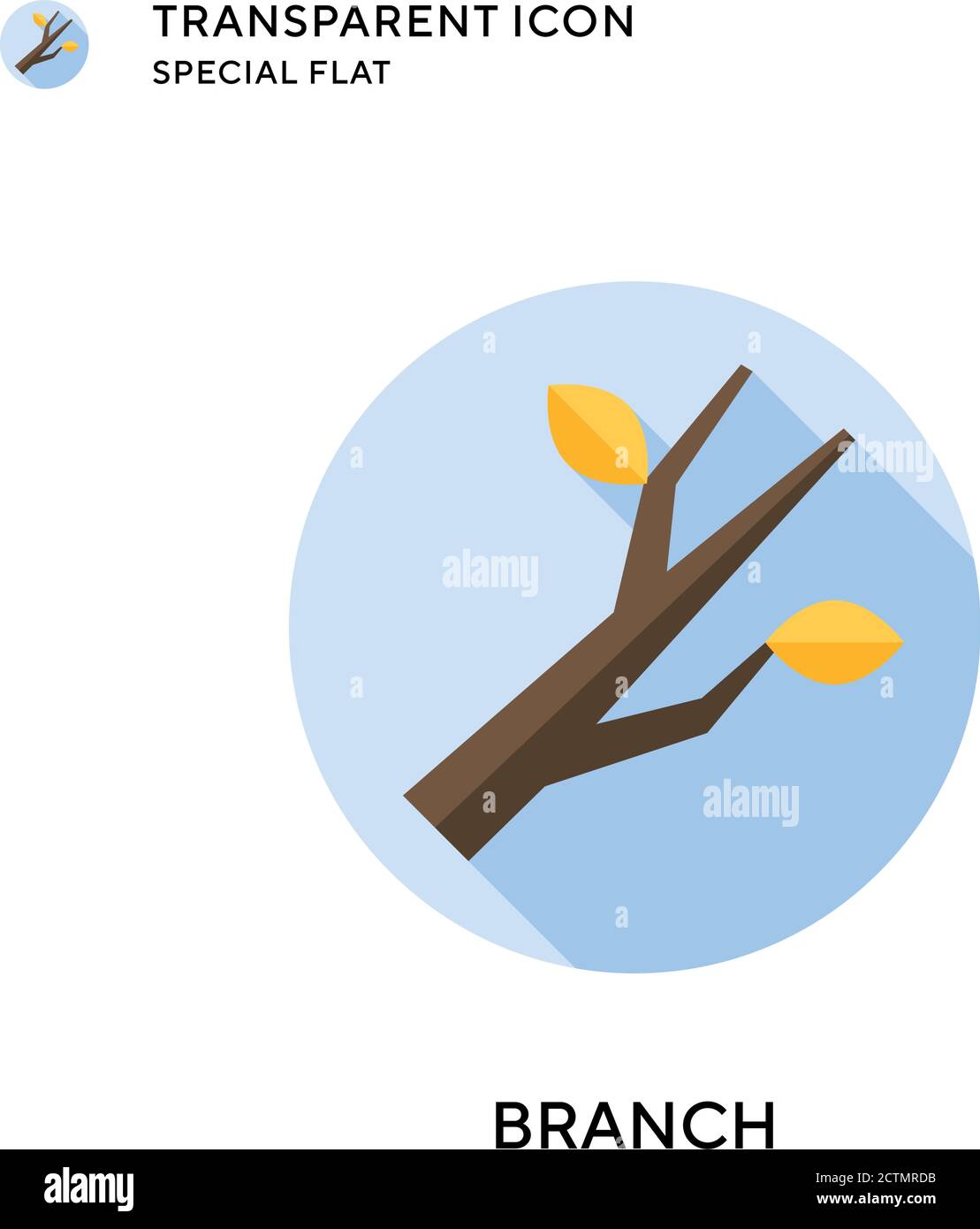 Olive tree wood texture Stock Vector Images - Alamy