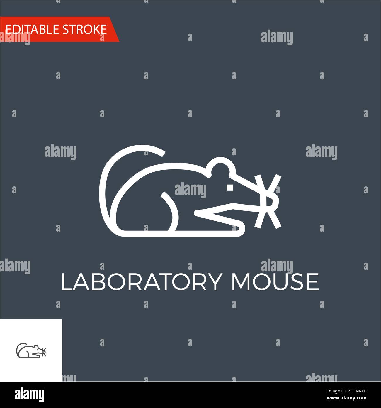 Laboratory Mouse Vector Icon Stock Vector Image & Art - Alamy
