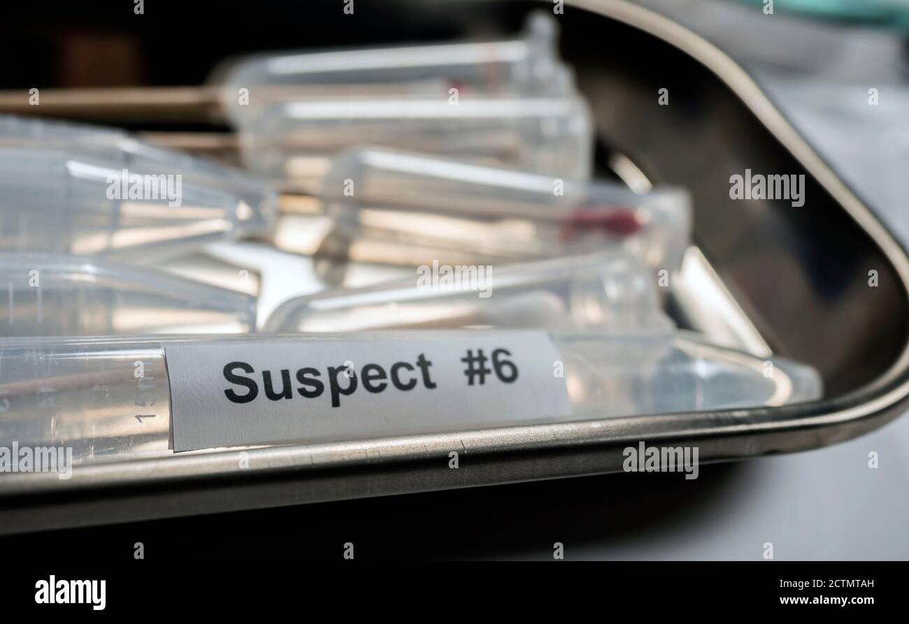 Criminalistic Laboratory, Bullet shell analysis, conceptual image Stock ...