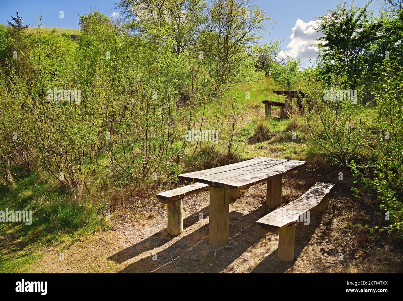 forest with picnic table and benches Stock Photo - Alamy