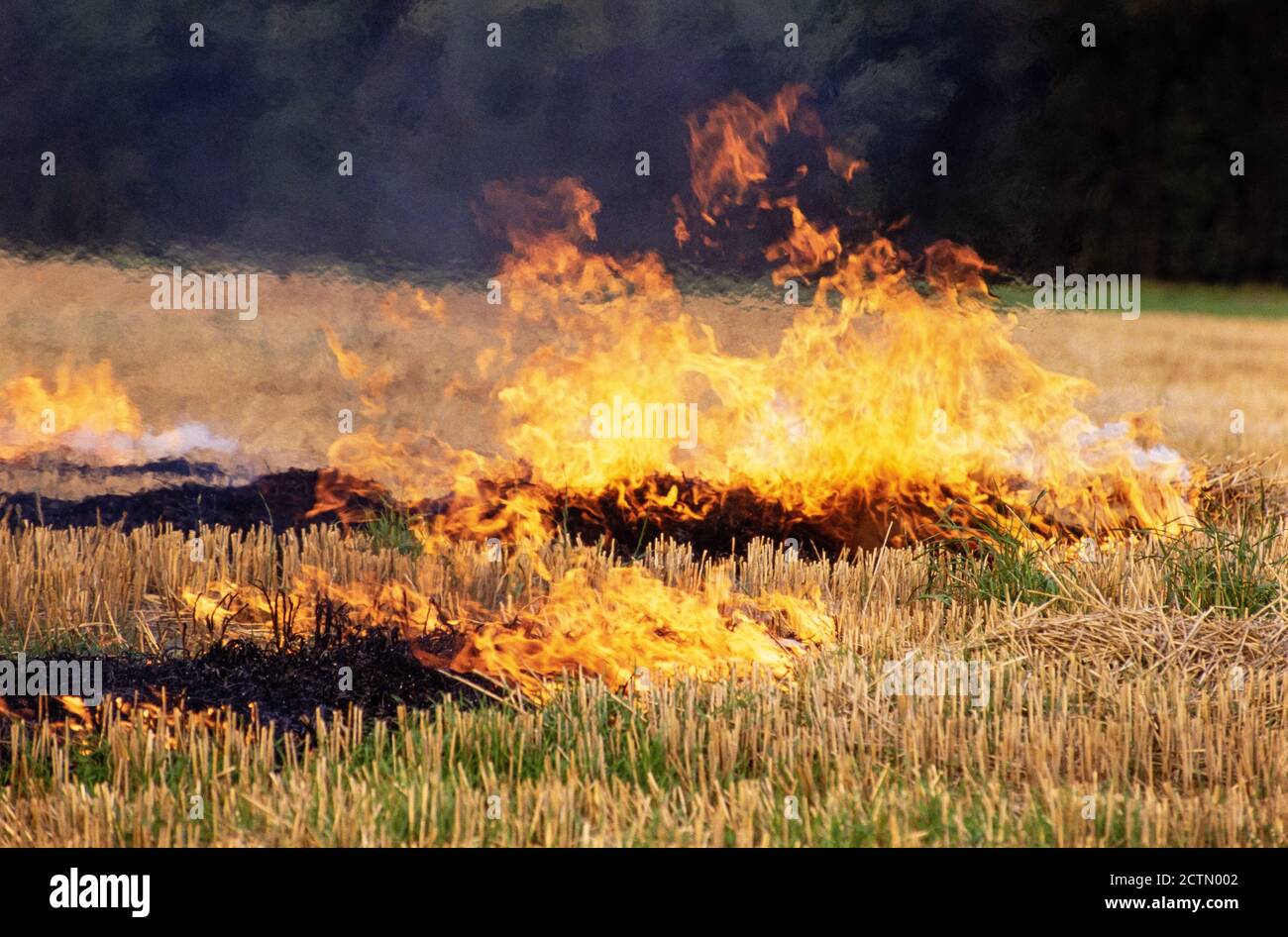 Stubble burning england hi-res stock photography and images - Alamy