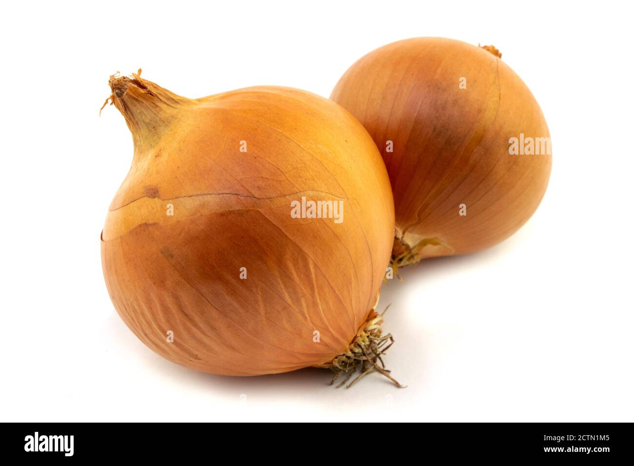 two onion bulbs isolated on a white background Stock Photo - Alamy