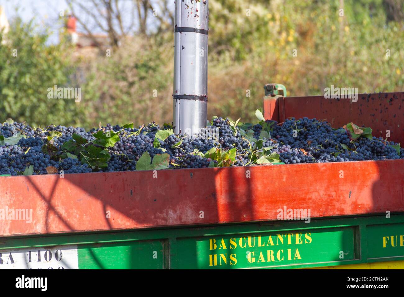 Automatic sampler for trucks extracts grapes from the vintage to ...