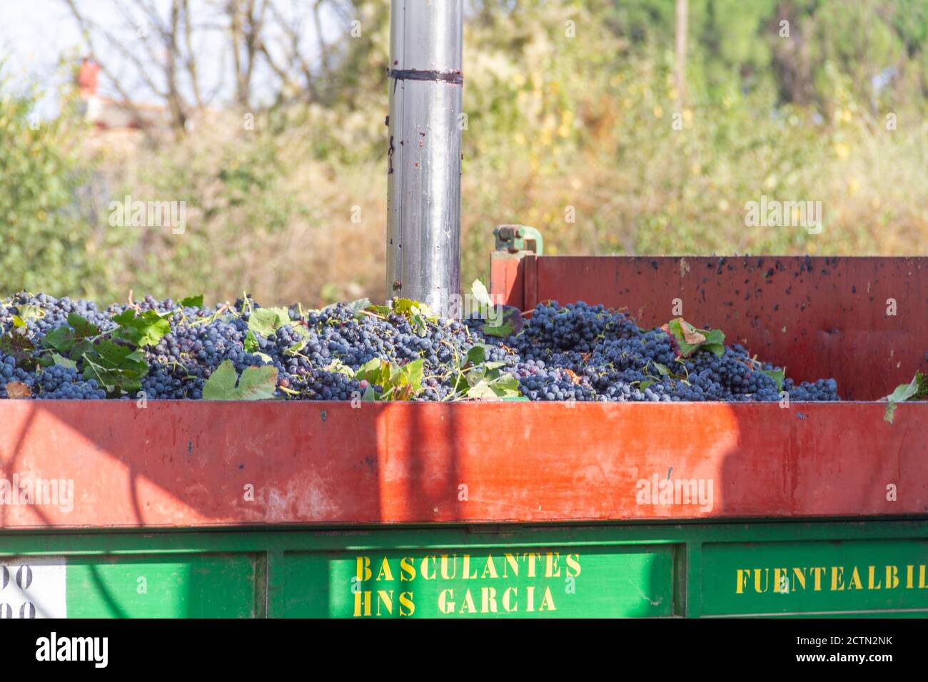 Automatic sampler for trucks extracts grapes from the vintage to ...