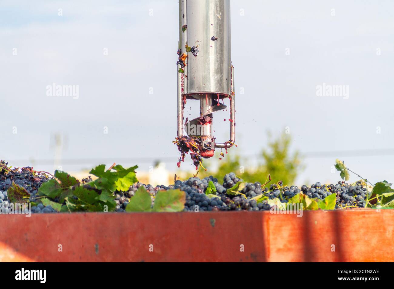 Automatic sampler for trucks extracts grapes from the vintage to ...