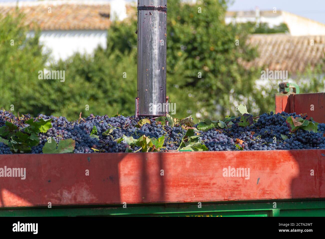 Automatic sampler for trucks extracts grapes from the vintage to ...