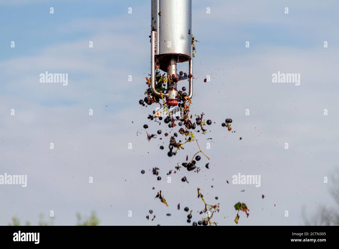 Automatic sampler for trucks extracts grapes from the vintage to ...