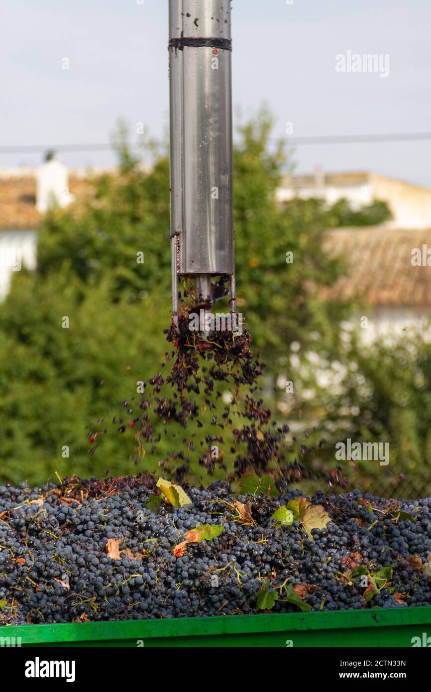 Automatic sampler for trucks extracts grapes from the vintage to ...