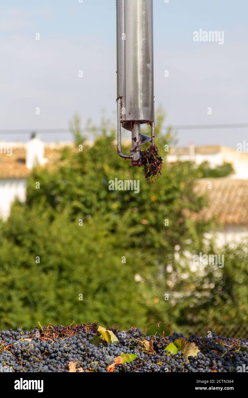 Automatic sampler for trucks extracts grapes from the vintage to ...