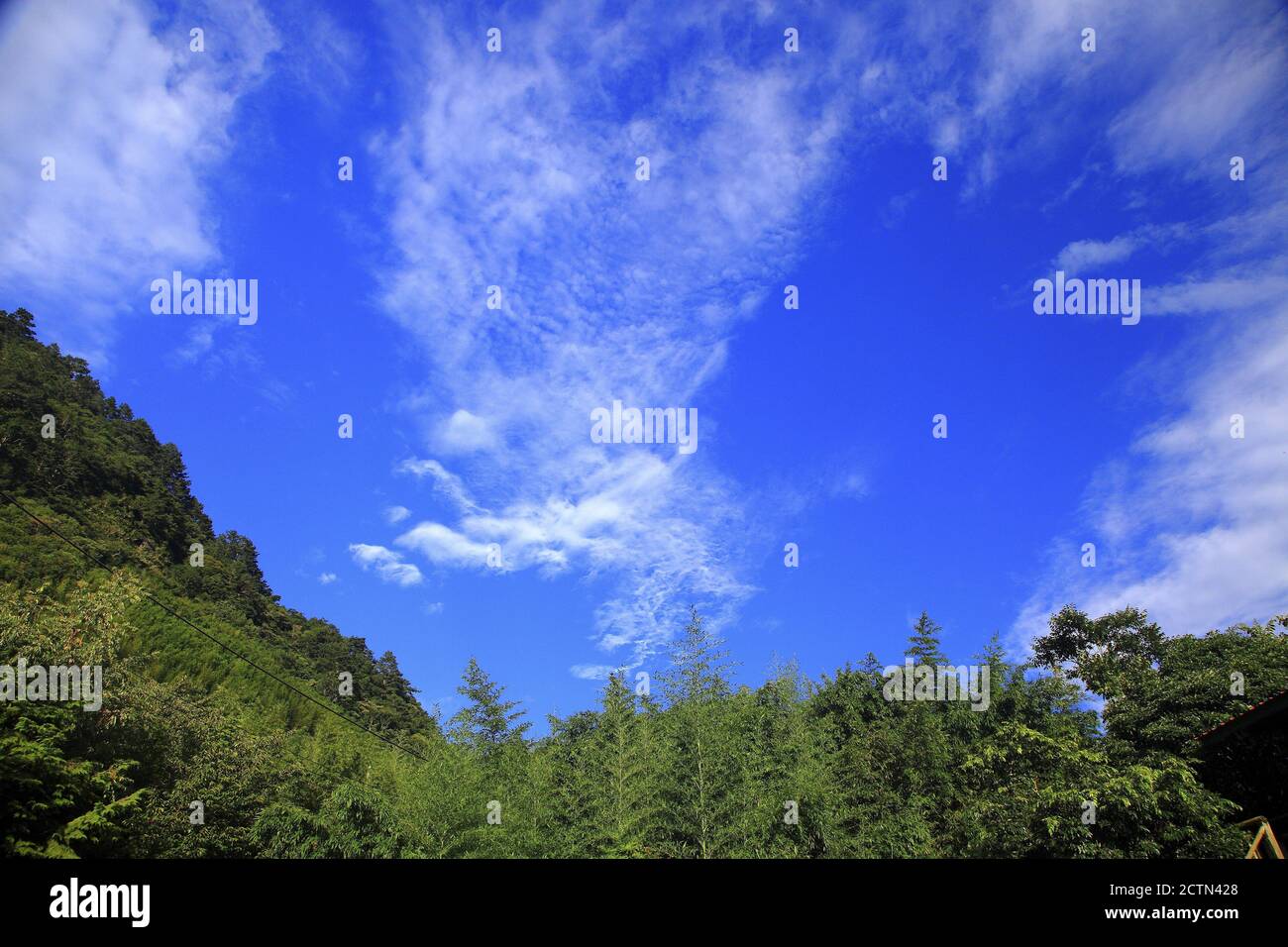 Sharp stone smarcus hi-res stock photography and images - Alamy