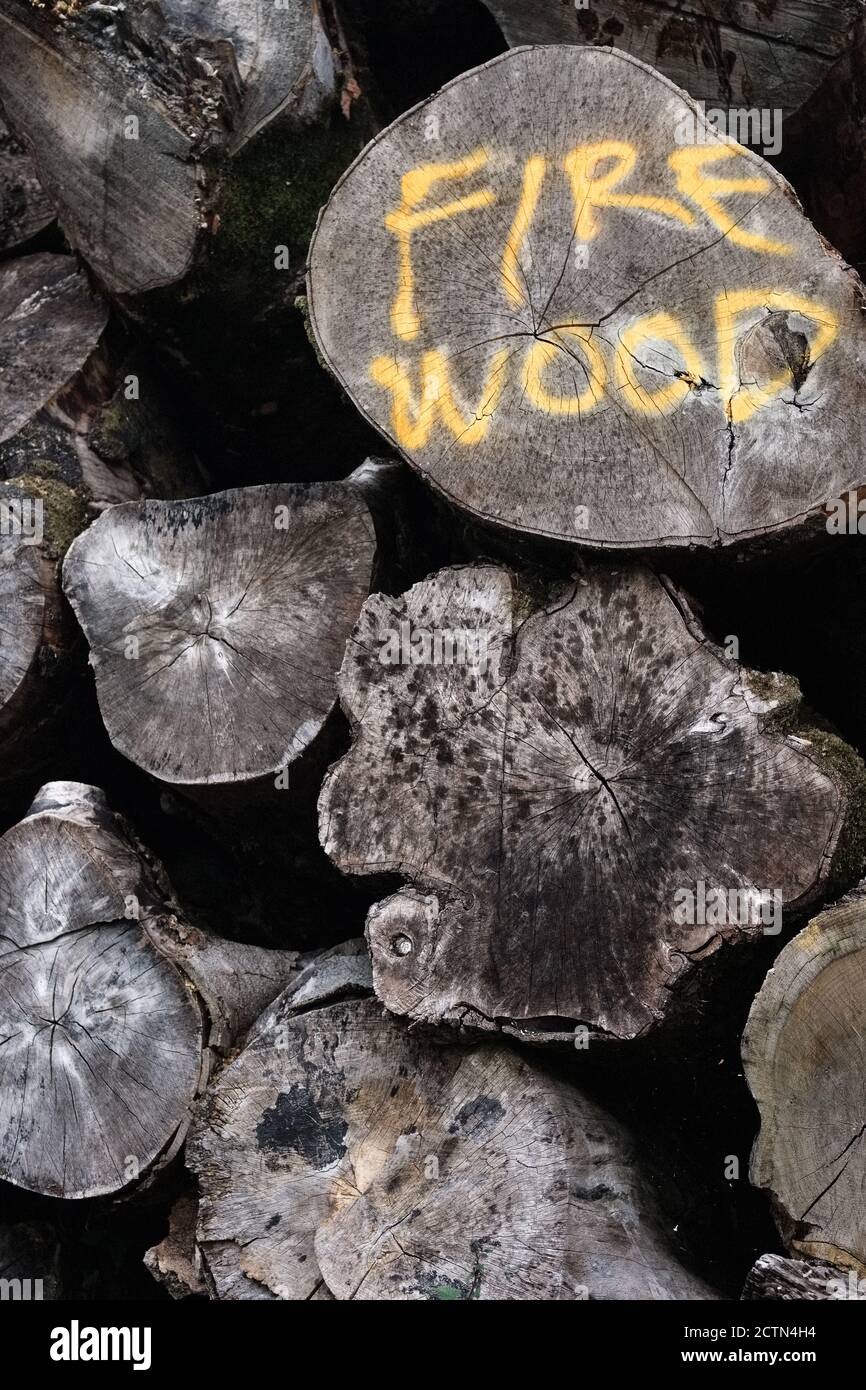 Stacked logs for firewood Stock Photo - Alamy