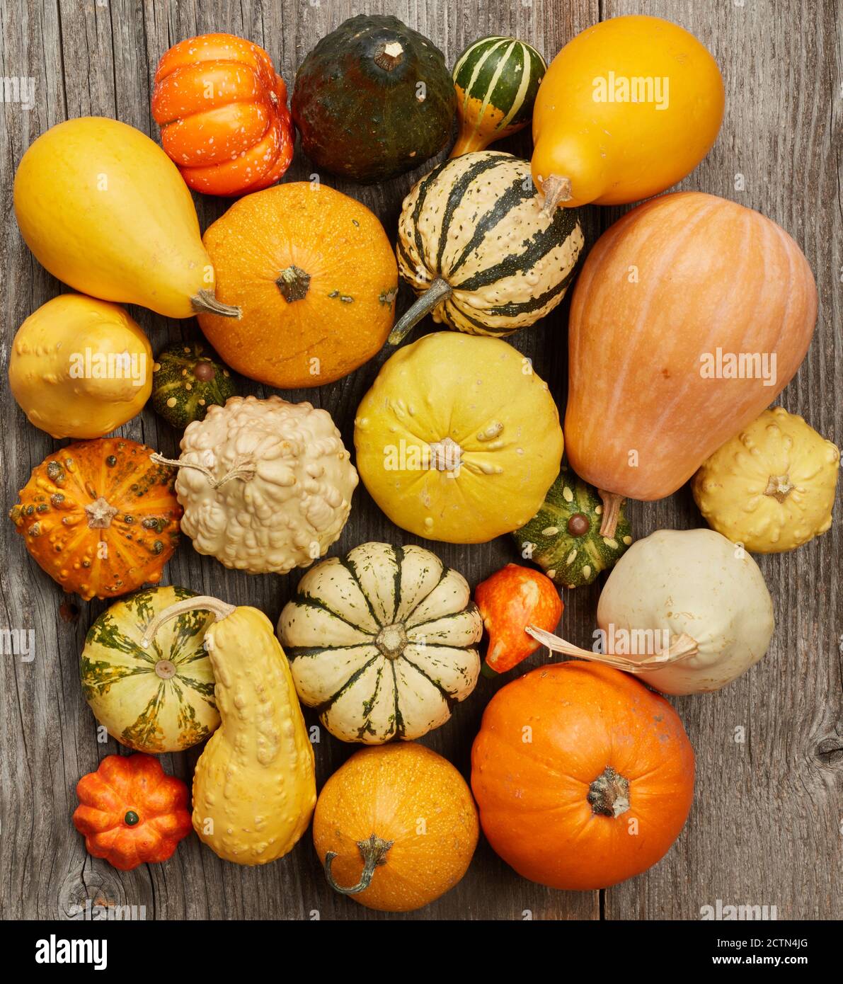 Pumpkins on wood background Stock Photo - Alamy