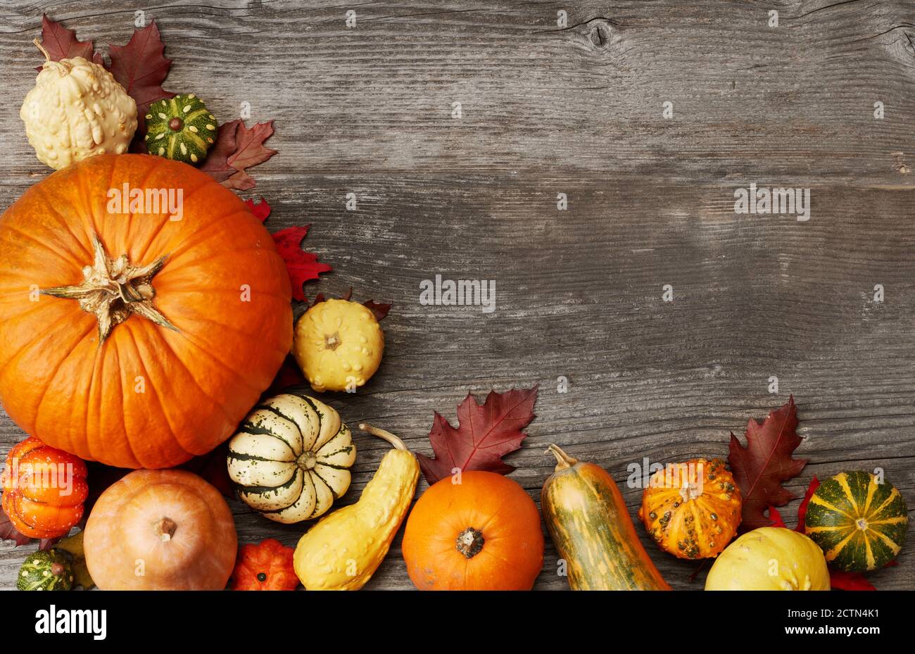 Pumpkins on wood background Stock Photo - Alamy