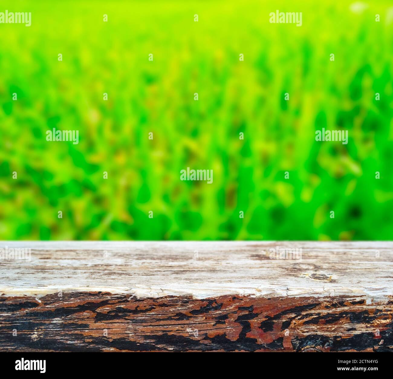 Grass montage hi-res stock photography and images - Alamy