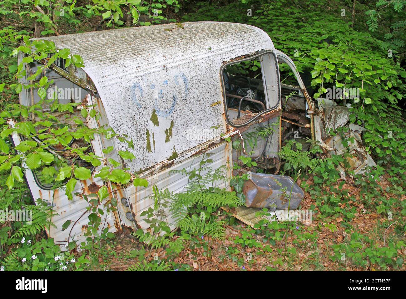 Car overgrown by weeds hi-res stock photography and images - Alamy