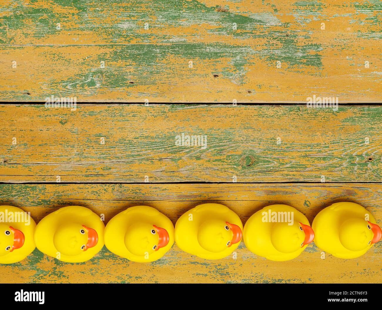 Rubber ducks in a row Stock Photo - Alamy